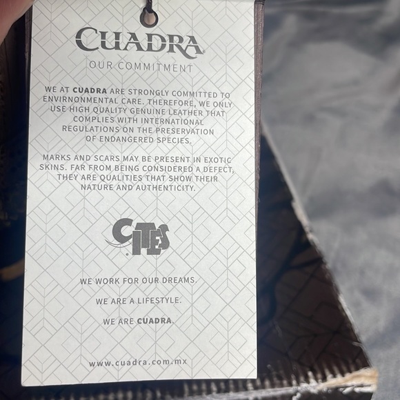 Cuadra | Shoes | Cuadra Python Ret Bel Plunge Natural Womans Boots Nwt ...